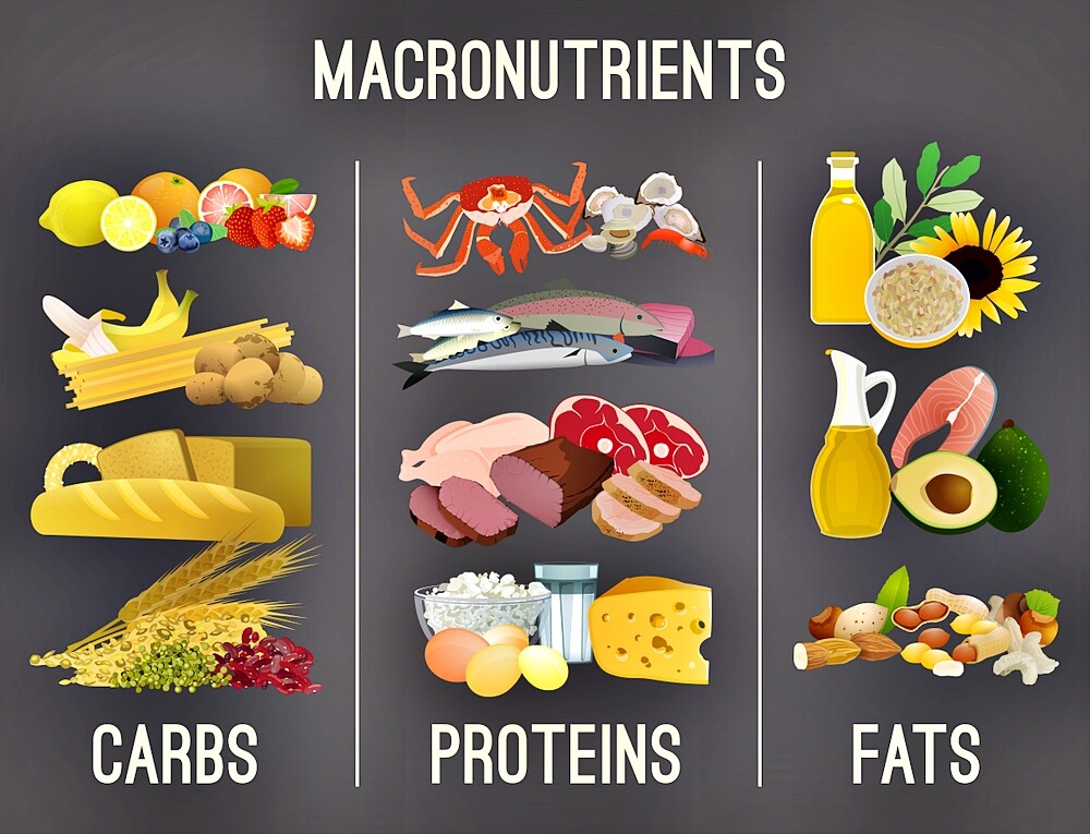 Macronutrients cheat sheet - numberpolf