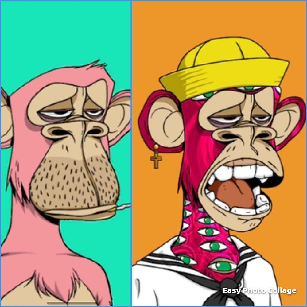 This Bored Ape Yacht Club Member Added Two Of The Rarest Bored Apes To ...