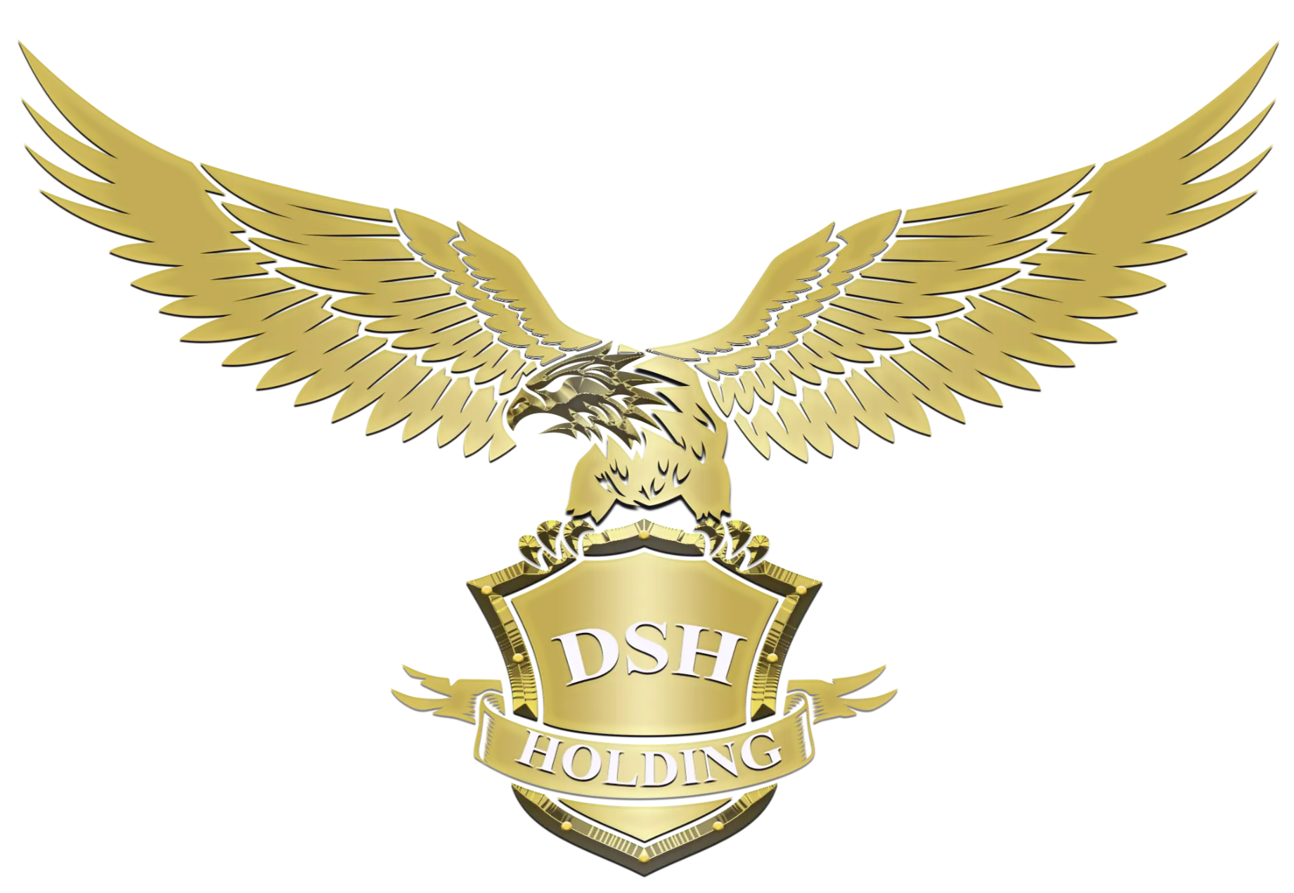 Group of Companies | DSH Holding