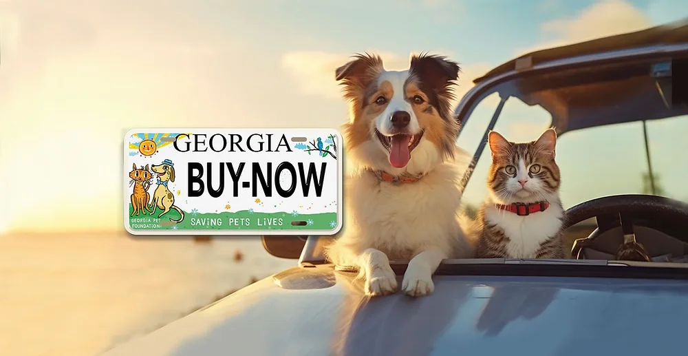 Support Pet Welfare with the Georgia Pet Foundation Specialty License Plate