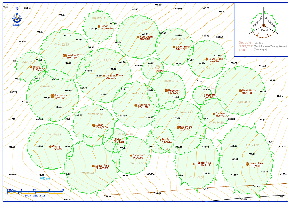 Measured Tree Surveys | Xrs Geomatics