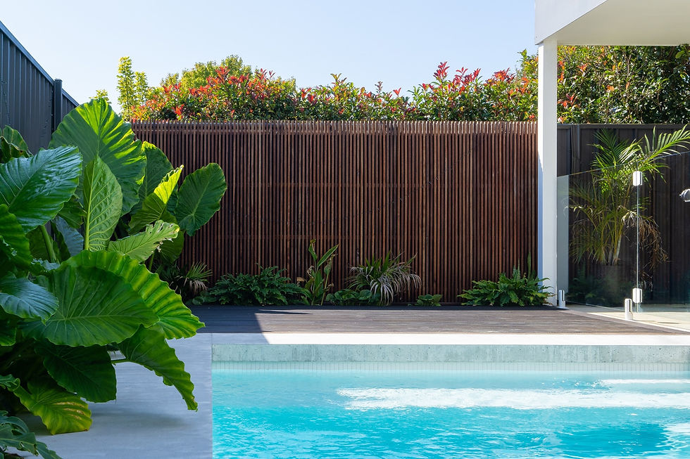 Nsw Best Concrete Pool Builder 2024