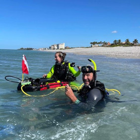Megalodon Shark Tooth Dives Venice & Siesta Key FL