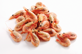 Icelandic shell-on Prawn Box | Greenslade Fish