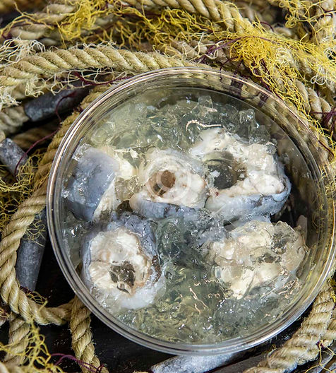 jellied eels light