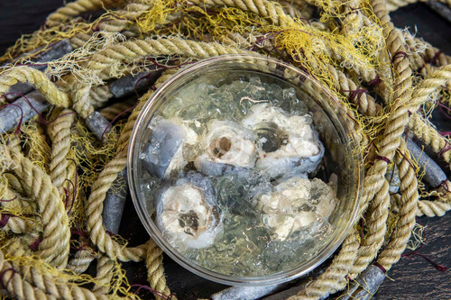 Jellied Eels | Greenslade Fish