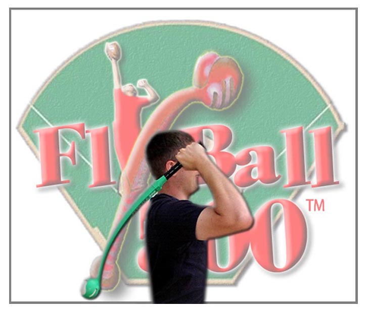 Flyball 500 Official Home