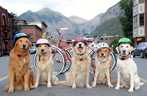 RUFF Riders | telluridephotographe