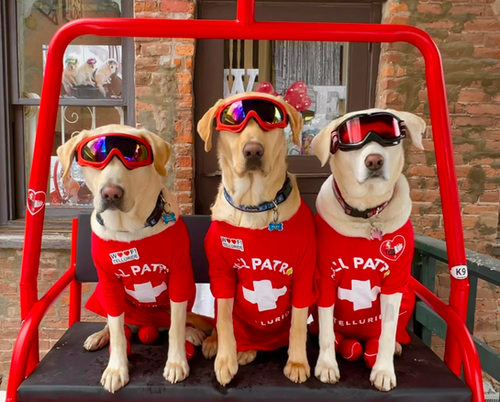 Ball Patrol | telluridephotographe