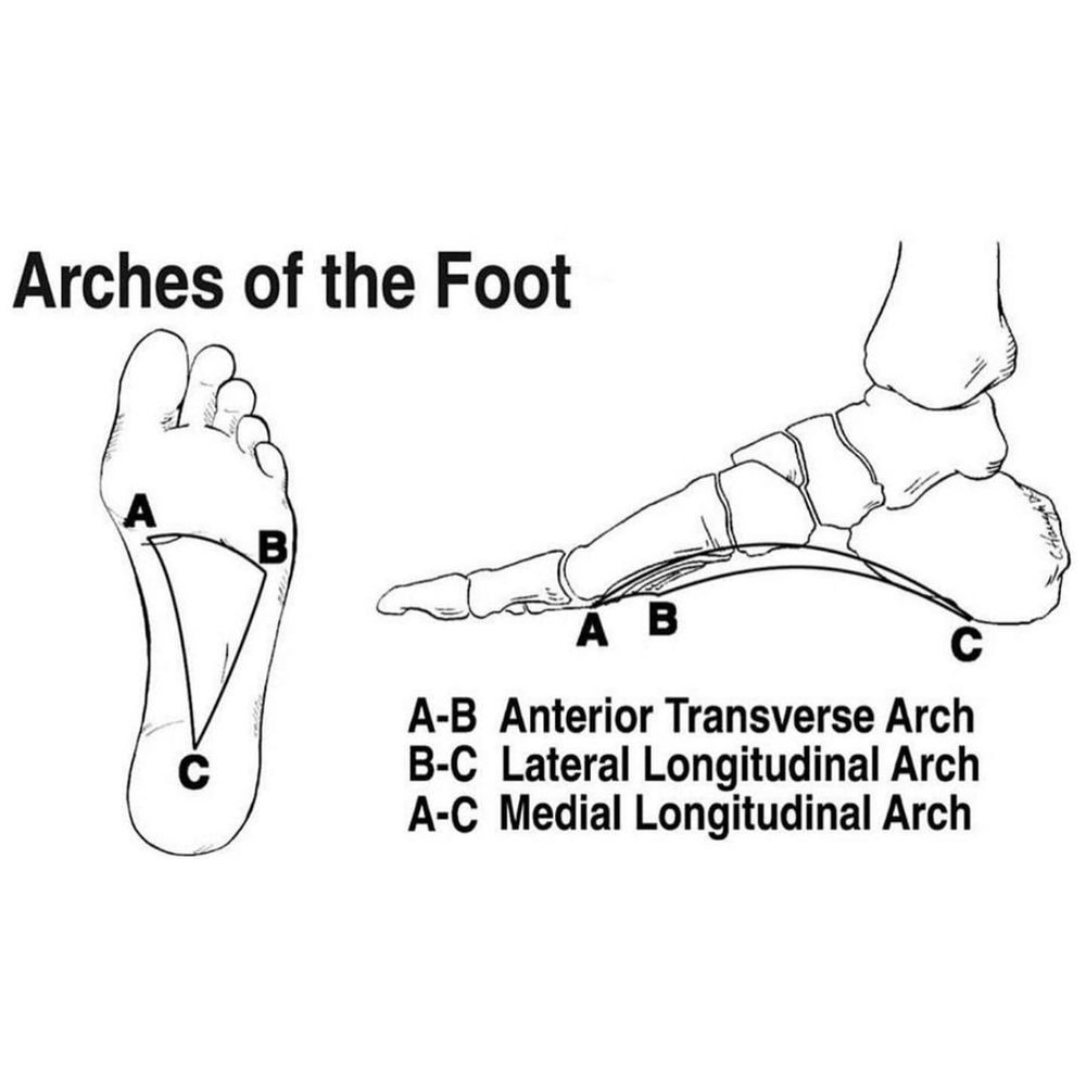 The Importance of Stirrup Placement