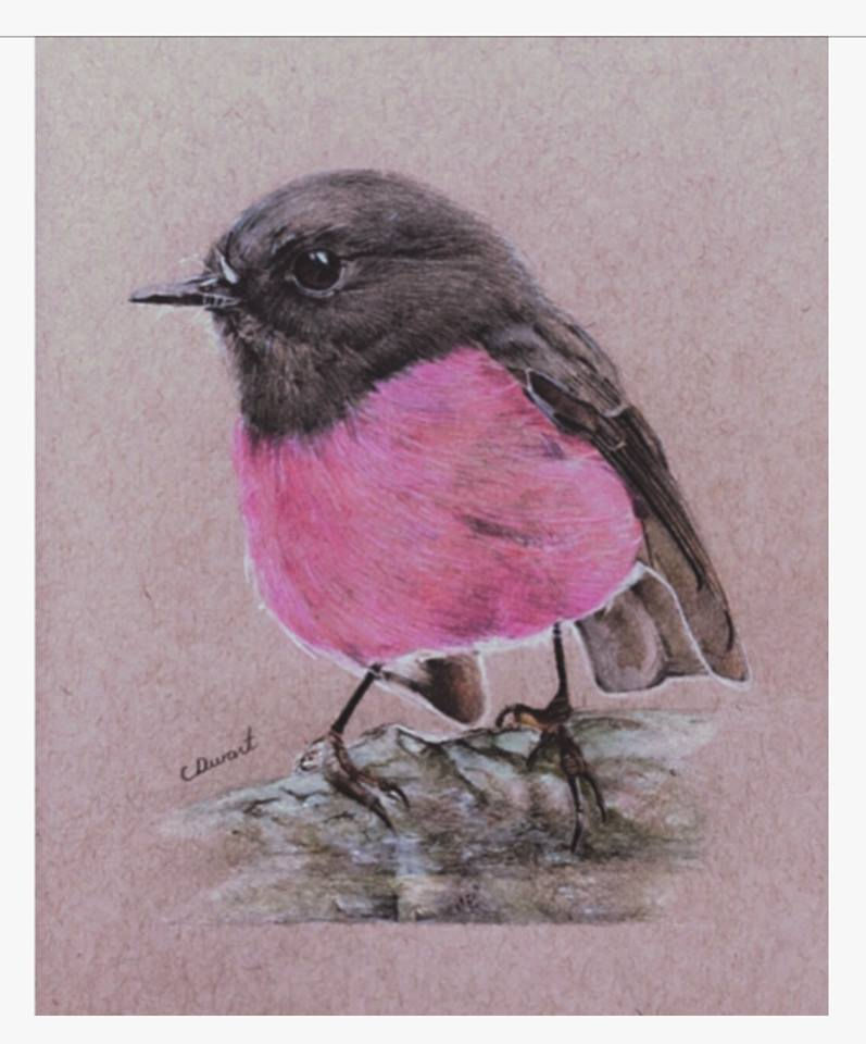 Reflections with Christopher Durant