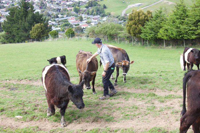 Farm | Franza Farm Dunedin