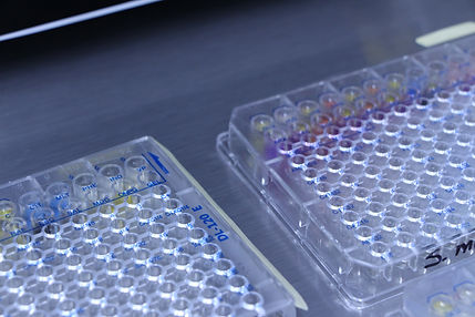 Medical DL | Automatización microbiológica al alcance