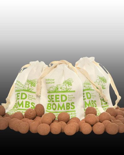 Eco Grow | Team Phoenix
