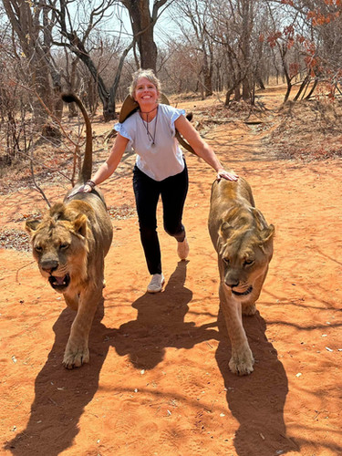Walk with Lions | NKHOSI LIVINGSTONE
