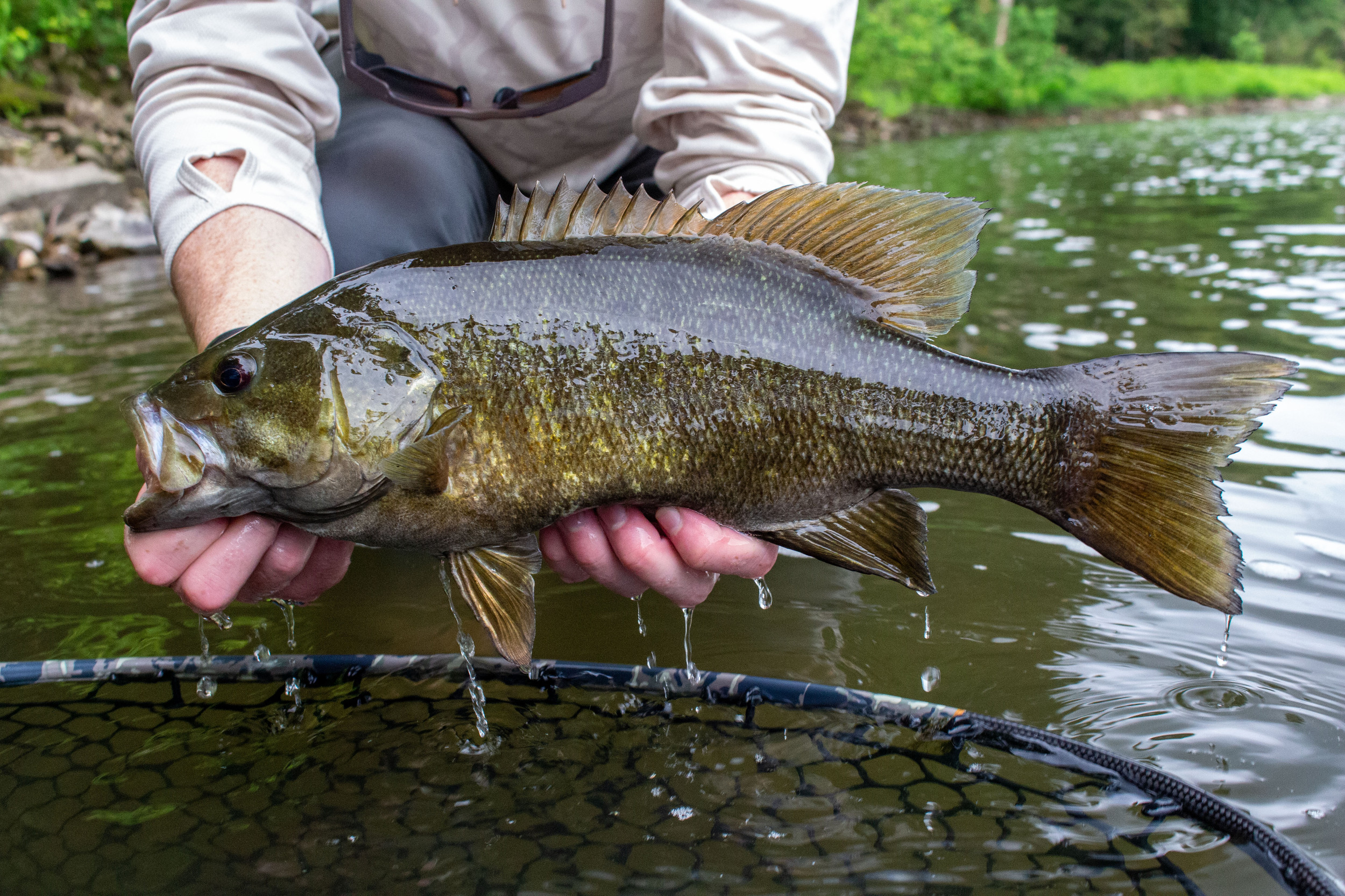 FLY FISH IOWA | Iowa Fly Fishing Trips