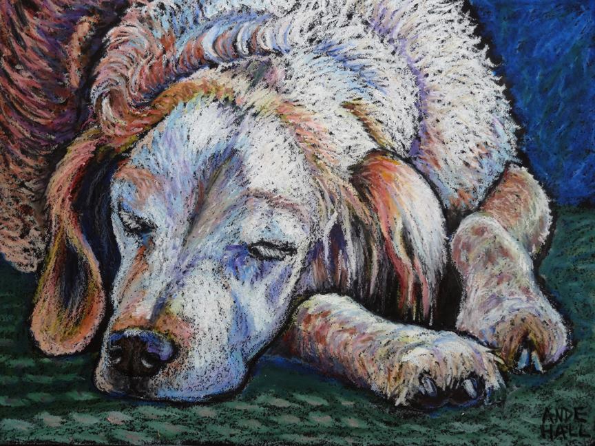 COMMISSIONS | ande-hall-art