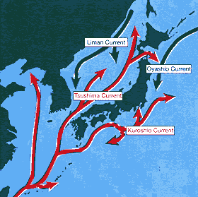 Kuroshio Impact Kuroshio Impact