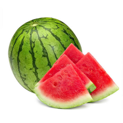 8424 Watermelon (Taiwan) 1 pc | FRESHIE