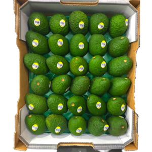 Australian Avocado Box (28-30pc) | FRESHIE