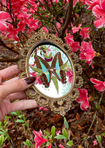 Faery Mirror Portal II | Light Flora
