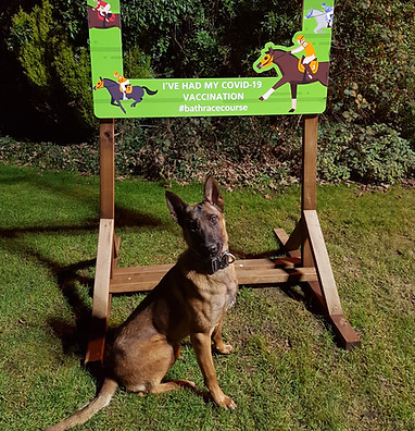 CB Protection | Services