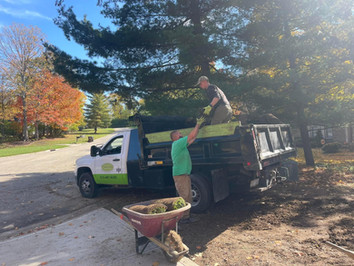 GALLERY | Creative Scapes