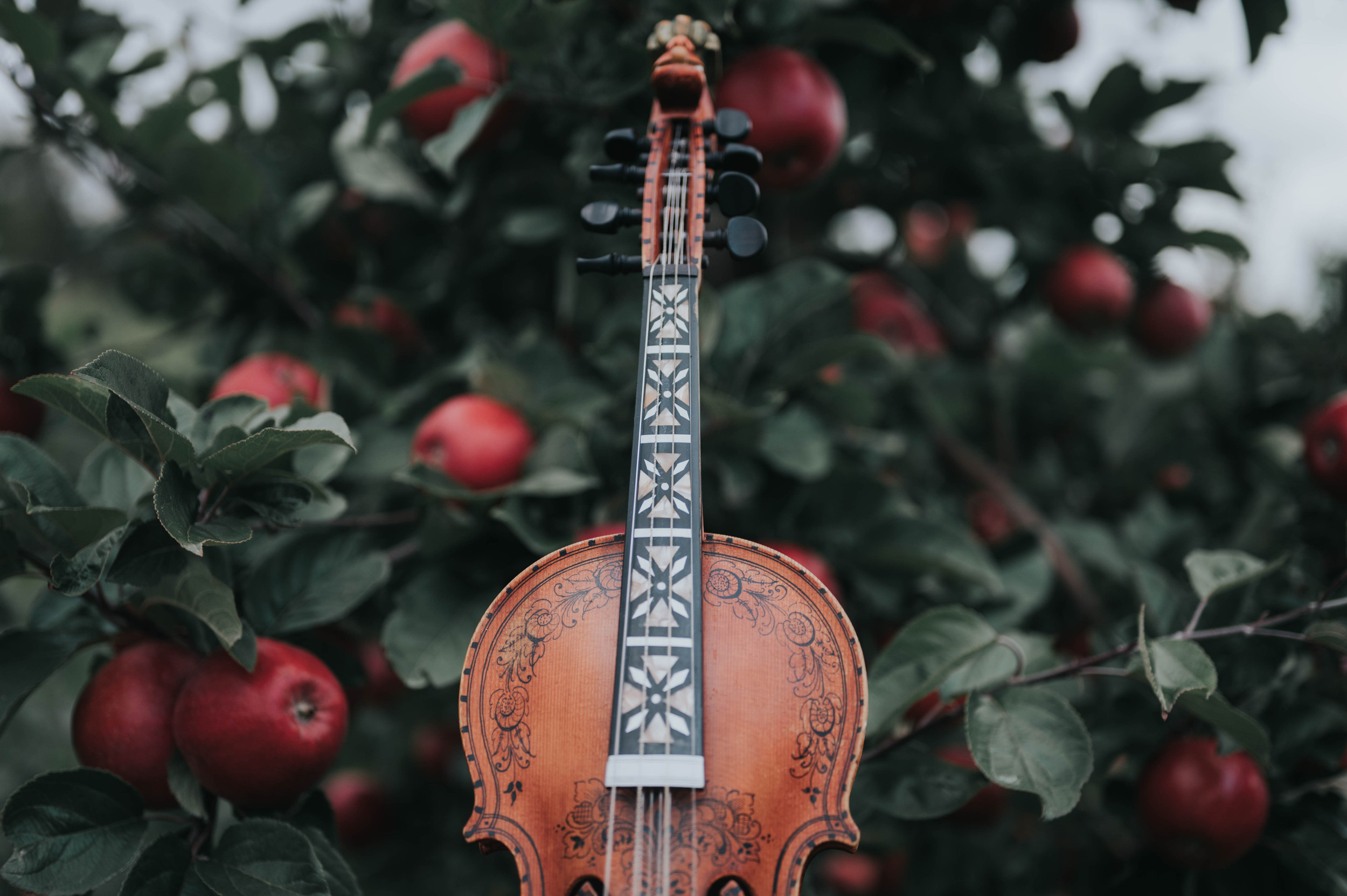 English | Home | Hardanger Musikkfest