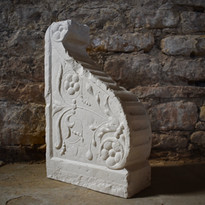 Plaster Casts | Griffin Plaster Cast