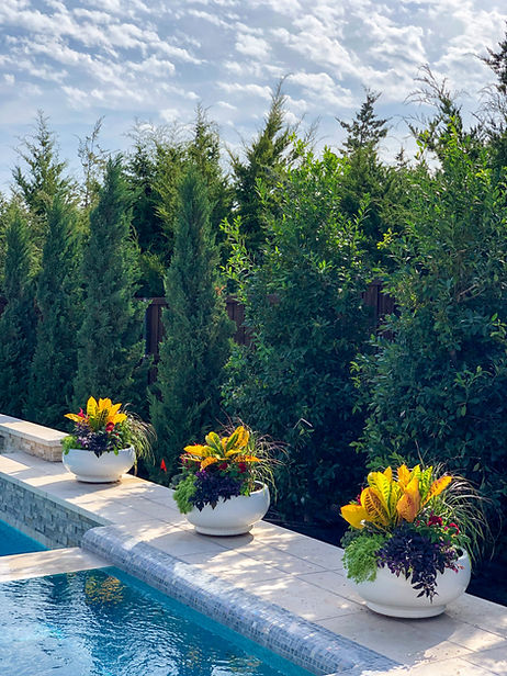 Contact Us | Prosper Garden Design