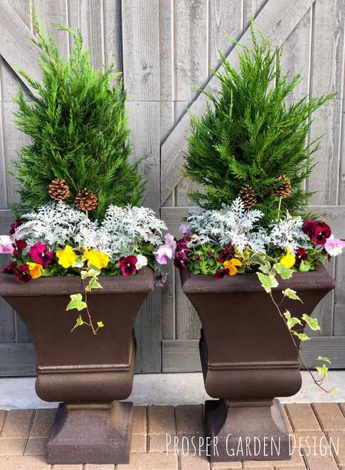 Winter | ProsperGardenDesign