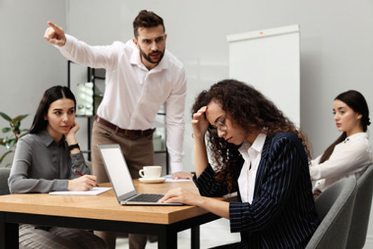 Bullying in the Workplace