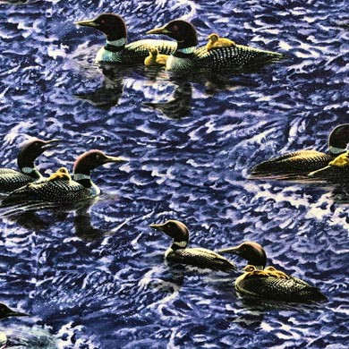 NC Loon Lake | Cabin Fever Alaska