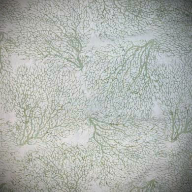 HF Reef | Cabin Fever Alaska