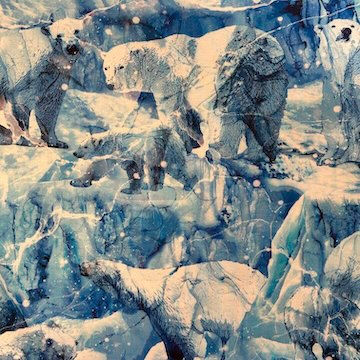 Alaska Batiks | Fabric | Quilted Raven Alaska