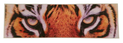 Tiger Eyes Bumper Sticker | wildanimalsanctuary