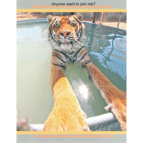 Tiger Note Card | wildanimalsanctuary