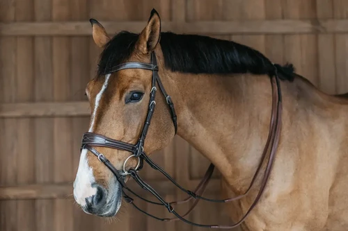 DY'ON Working Motion Bridle Working Collection | McKinley Tack