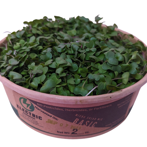 Micro Basic Salad Mix | ELECTRIC MICROGREENS