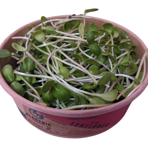 Micro Sunflower | ELECTRIC MICROGREENS