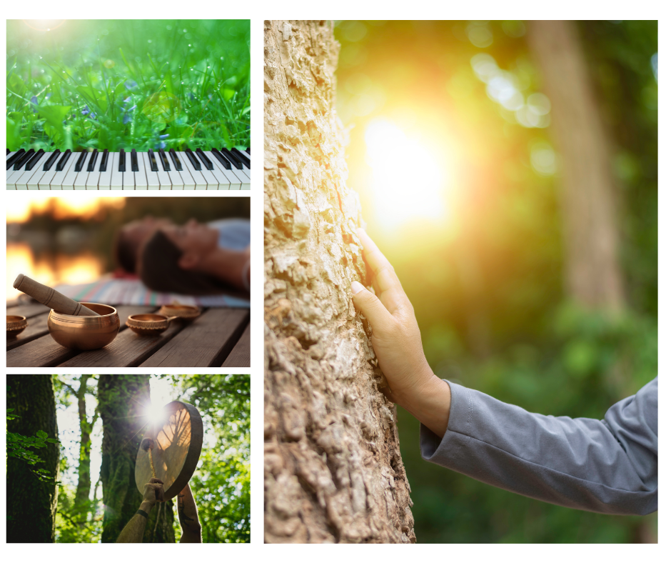 Rooted in Rhythm: A Nature and Sound Healing Retreat | Nature Worx