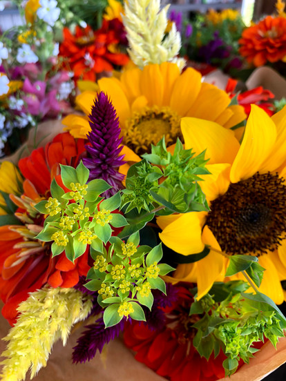 OUR FLOWERS | Rogish Farm