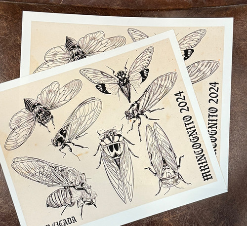 Cicada Sheet | mysite