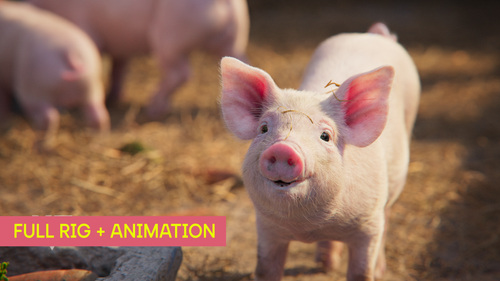 Piggy Animations - Blender (full rig + Animation) | 3dcourse