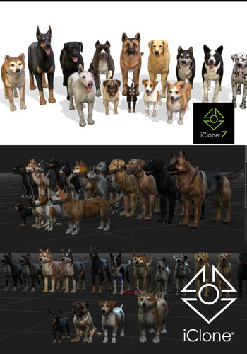 Dogs Big pack 2000+ animations (iClone 7.93 or Up) | 3dcourse