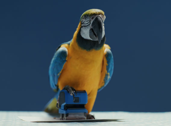 Media section | Spot Leukaemia