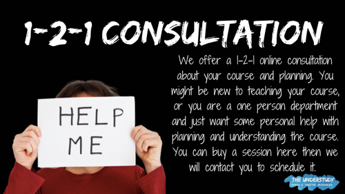 One-to-One Consultation | THE UNDERSTUDY