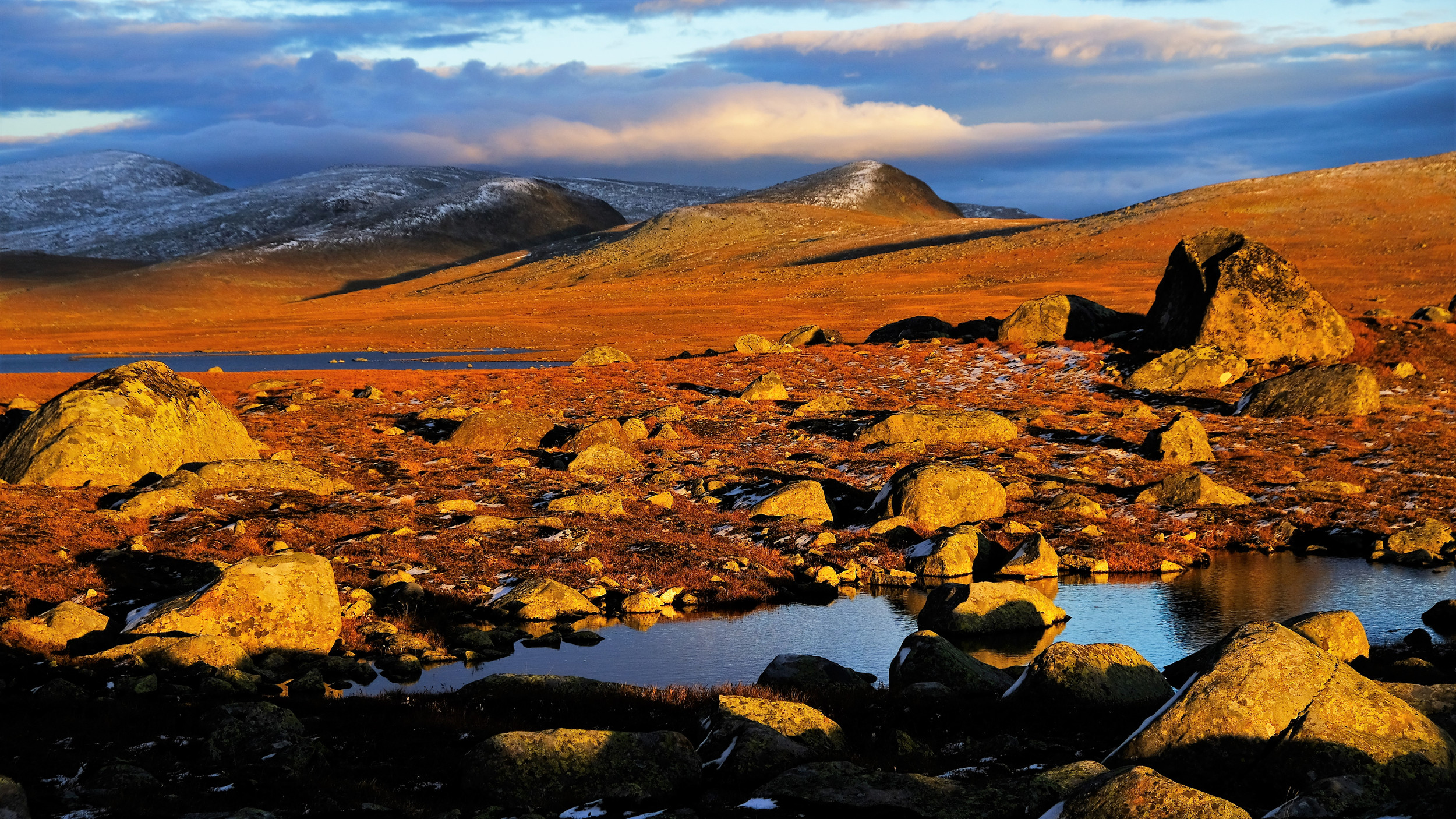 Alvdal/Vestfjell | Rondafjell