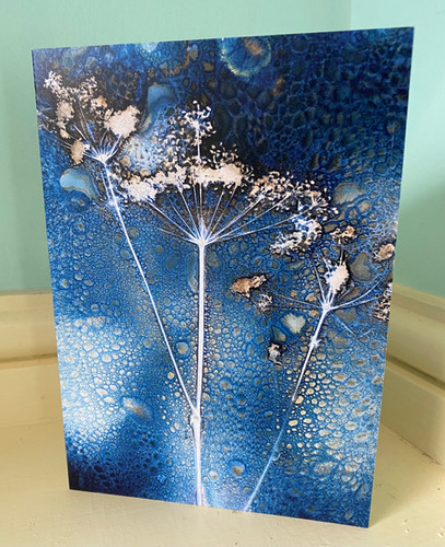 Umbellifer Wet Cyanotype Card | bridgetarnold.co.uk
