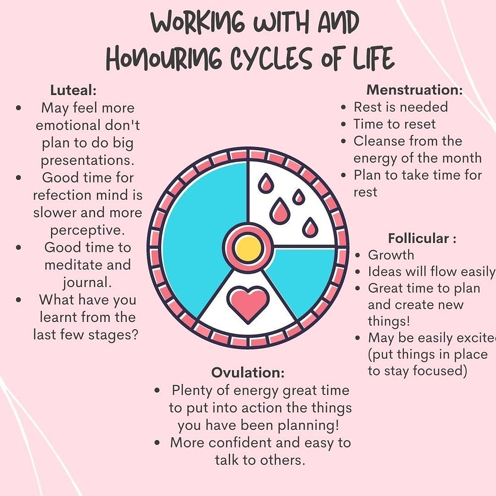 How working with the cycles of your body can help you be more productive